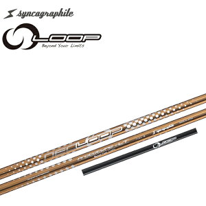 「LOOP PROTOTYPE」の人気商品一覧 | 安い商品を通販サイトから探す - 価格.com