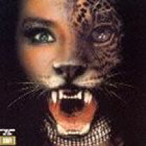 Sheena Mann's Instagram, Twitter & Facebook on IDCrawl