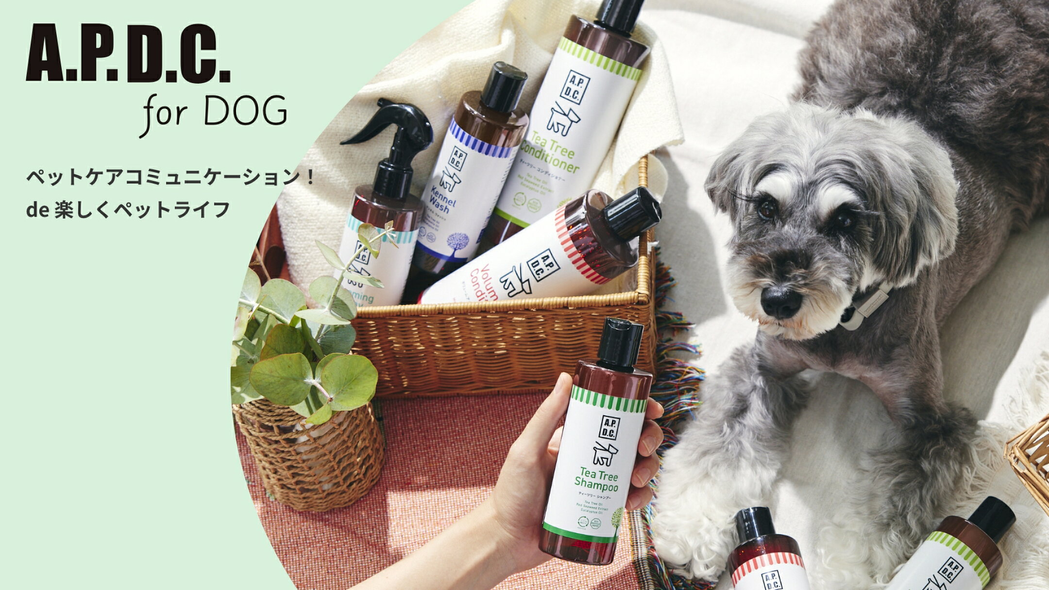 楽天市場 | ひなたぼっこ楽天市場店 - A.P.D.C特集