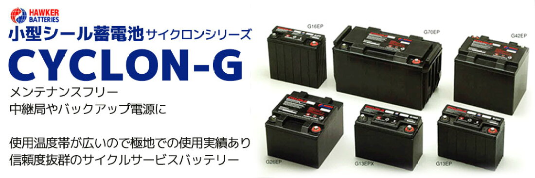 サイクロンG G42EP ディープサイクルバッテリー エナーシス製 ホーカーバッテリー 蓄電池 サイクルサービス バッテリー CYCLON-G ...