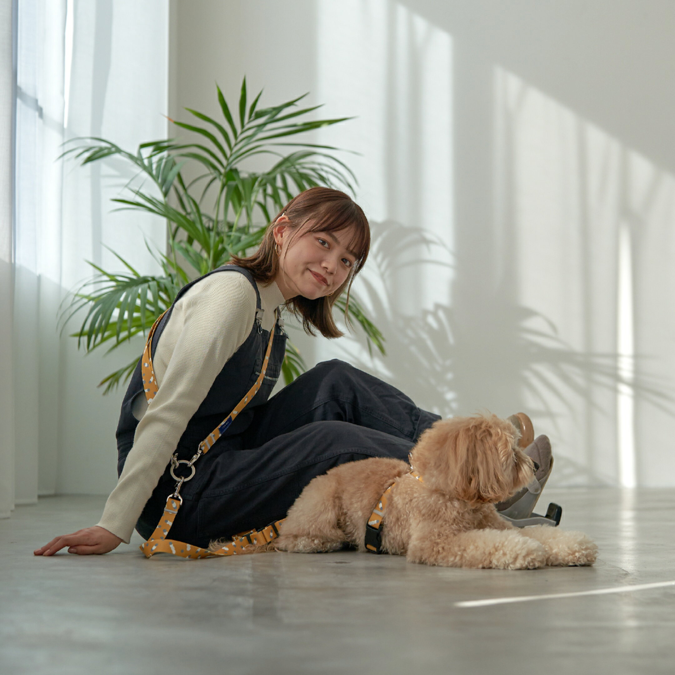 楽天市場 | inuno. 楽天市場店 - inuno. ~犬のスタンダードを〜