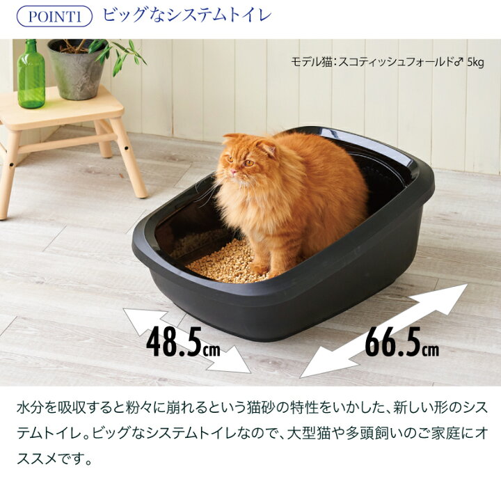 OFT PeeWee エコビッグ 本体 専用猫砂セット 木製 ペレット システムトイレ 猫 ねこ 猫トイレ ねこトイレ 大型 おおきめ 高級ブランド