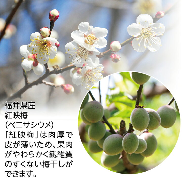 送料無料 梅ぼし生活 選べる組合せ 福梅ぼし梅干し食べ比べセット各120gx4味 食べ比べ ご飯のお供 酸っぱい 福井県産紅映梅 激安セール