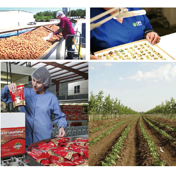 デルタ クレイン くるみ LHP ライトハーフピーセス 半割れ 赤パック 1kg 常温 2021年激安