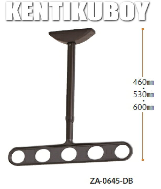 屋根、バルコニー 2022年最新版★高級感溢れる 川口技研 軒天用物干し ホスクリーン ZA-0645-PW ピュアホワイト 2本1組 ieNV7y5GGQ - cerogarrafones.com