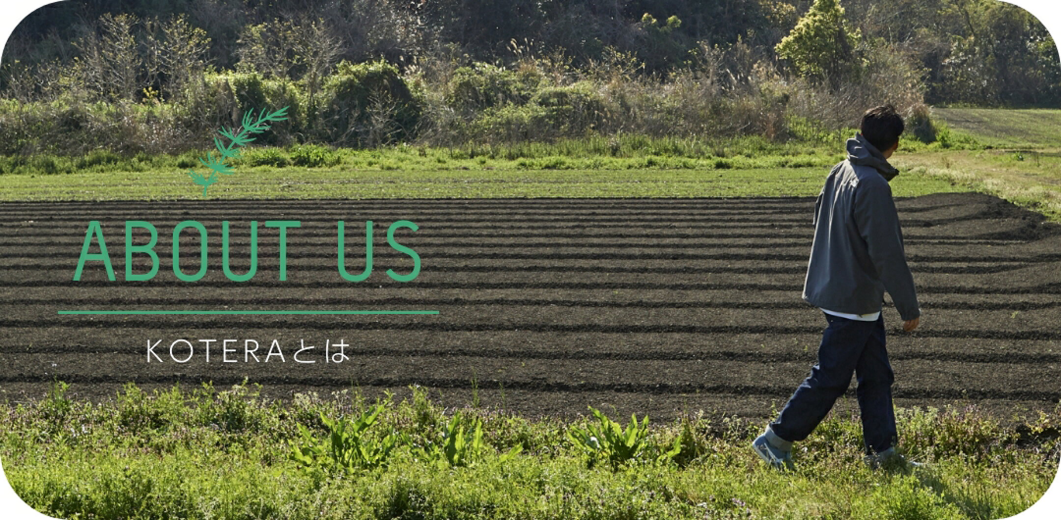 楽天市場 | KOTERAグリーンとインテリアのお店 - 『Urban jangle』をテーマに植物のある暮らしを提案するお店です。