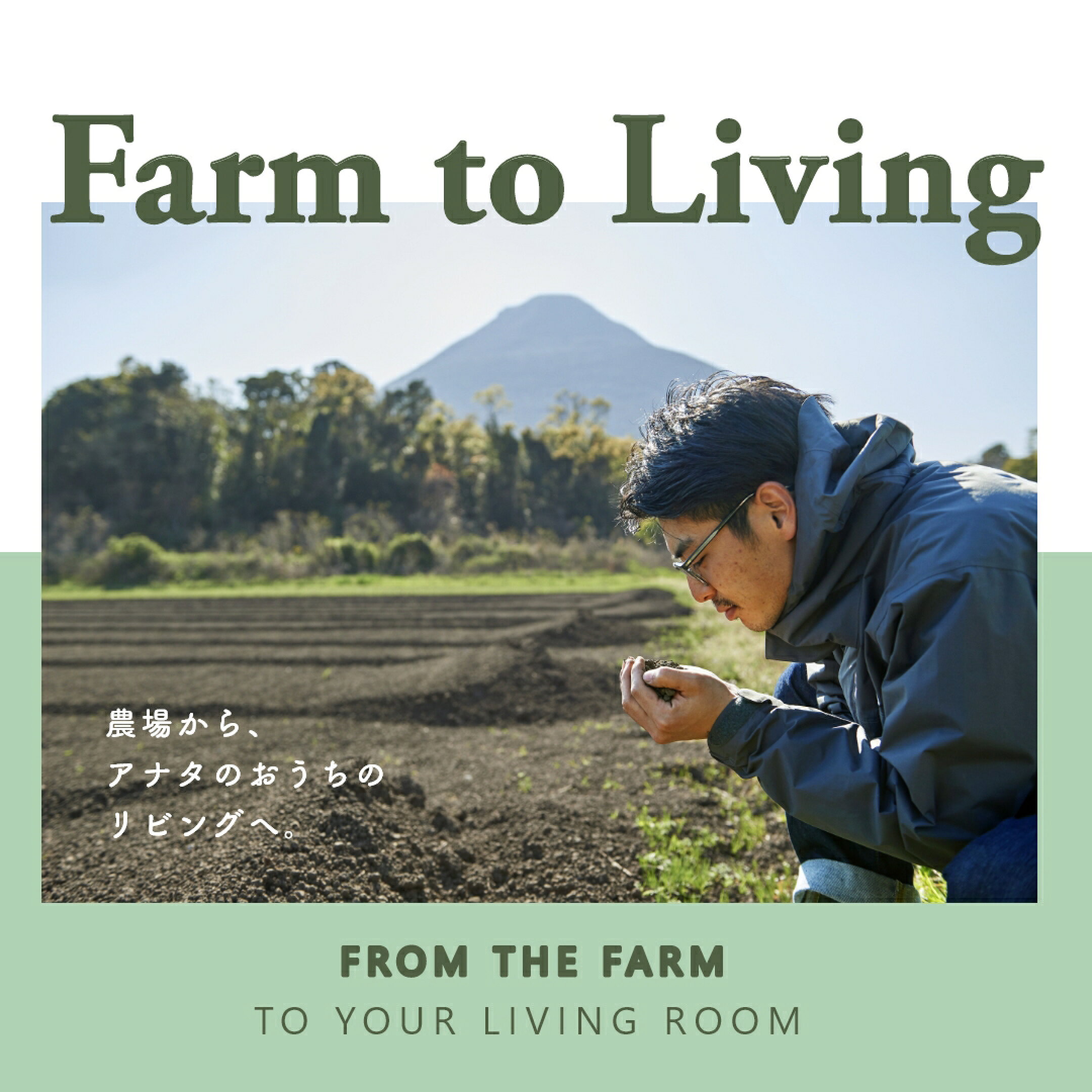 楽天市場 | KOTERAグリーンとインテリアのお店 - 『Urban jangle』をテーマに植物のある暮らしを提案するお店です。