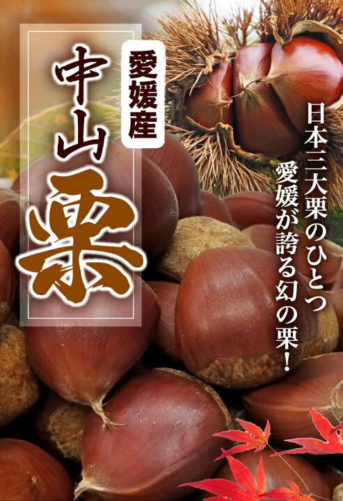 栗 中山栗 生栗 4L〜3Lサイズ 1kg 愛媛県産 JAえひめ中央 くり クリ 【人気No.1】