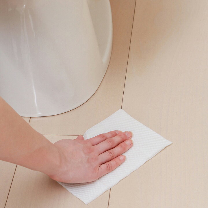 バブルパワー流せるトイレクリーナー 10枚×2個セット BP-TC102 アイリスオーヤマ 一人暮らし 最大80%OFFクーポン