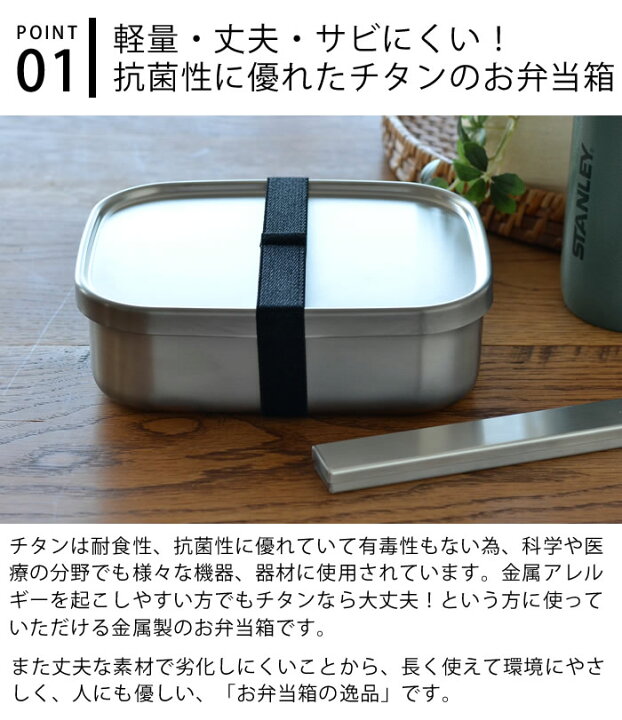 真空ステンレス丼ランチジャー スヌーピー チップ デール STLBD6 スケーター 10％OFF