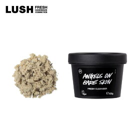 LUSH ラッシュ 公式 現実頭皮 225g ROOTS スカルプ シャンプー クレンジング ミント 清涼感 頭皮 マッサージ プレゼント ツヤ コシ 手作り コスメ