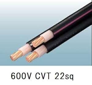 「CVT22sq」の人気商品一覧 | 安い商品を通販サイトから探す - 価格.com