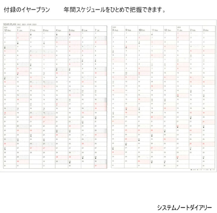 23 システムノート ダイアリーバーチカル B5 RFDR2381 1冊 レイメイ藤井 手帳 好評