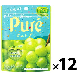 【楽天市場】ピュレグミの通販