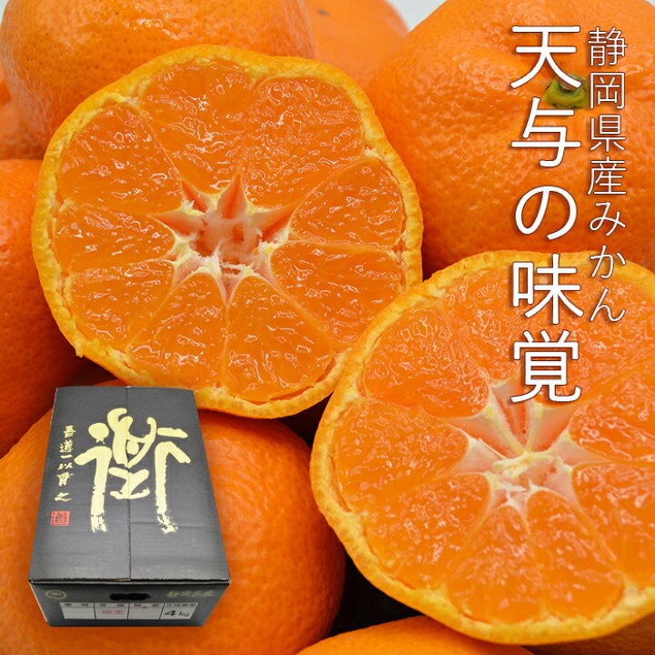 静岡県産 三ケ日みかん Sサイズ 4kg 売り込み