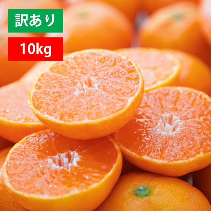 みかん まどんな 3kg ご家庭用 訳あり 甘い 愛媛県 西宇和地区 八幡浜市産 12月上旬頃より出荷 素晴らしい外見