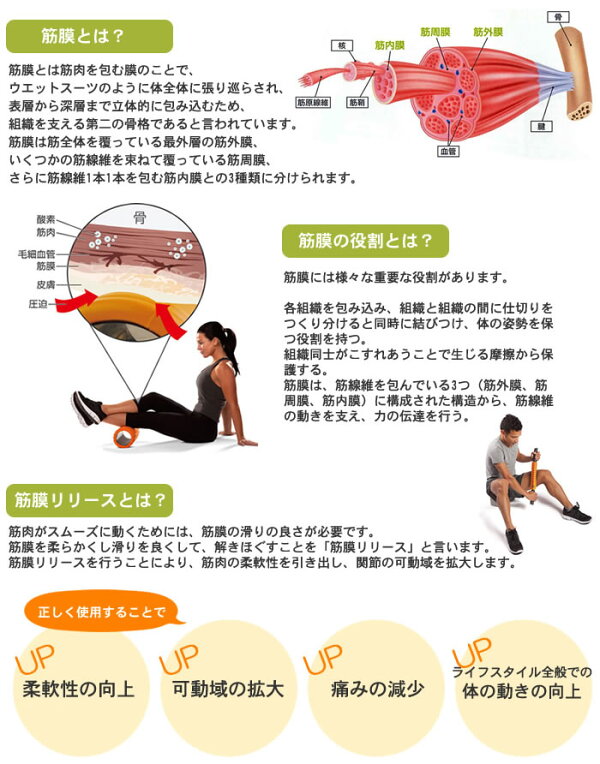 【楽天市場】【正規品】トリガーポイント グリッドトラベル コンパクトタイプ [NKPS_NO] 22131／22132：水着屋