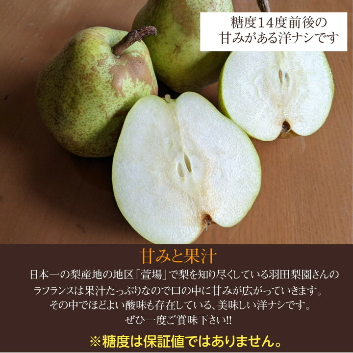 洋梨 ラフランス 約1.8kg 大玉ジャンボサイズ6L〜8L 3玉 贈答用 ギフト用 山形県上山市 ワンピなど最旬ア！