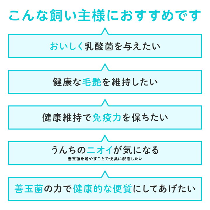 ベッツワン マルチ乳酸菌 犬猫用 細粒 60g 2g×30包 早割クーポン