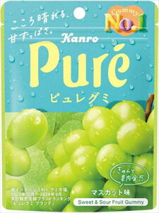 「グミ ピュレグミ」の人気商品一覧 | 安い商品を通販サイトから探す - 価格.com