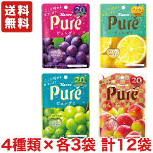 ピュレグミの人気商品・通販・価格比較 - 価格.com