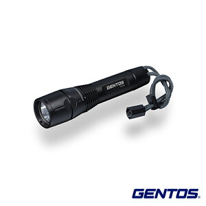 GF-116RGの人気商品・通販・価格比較 - 価格.com