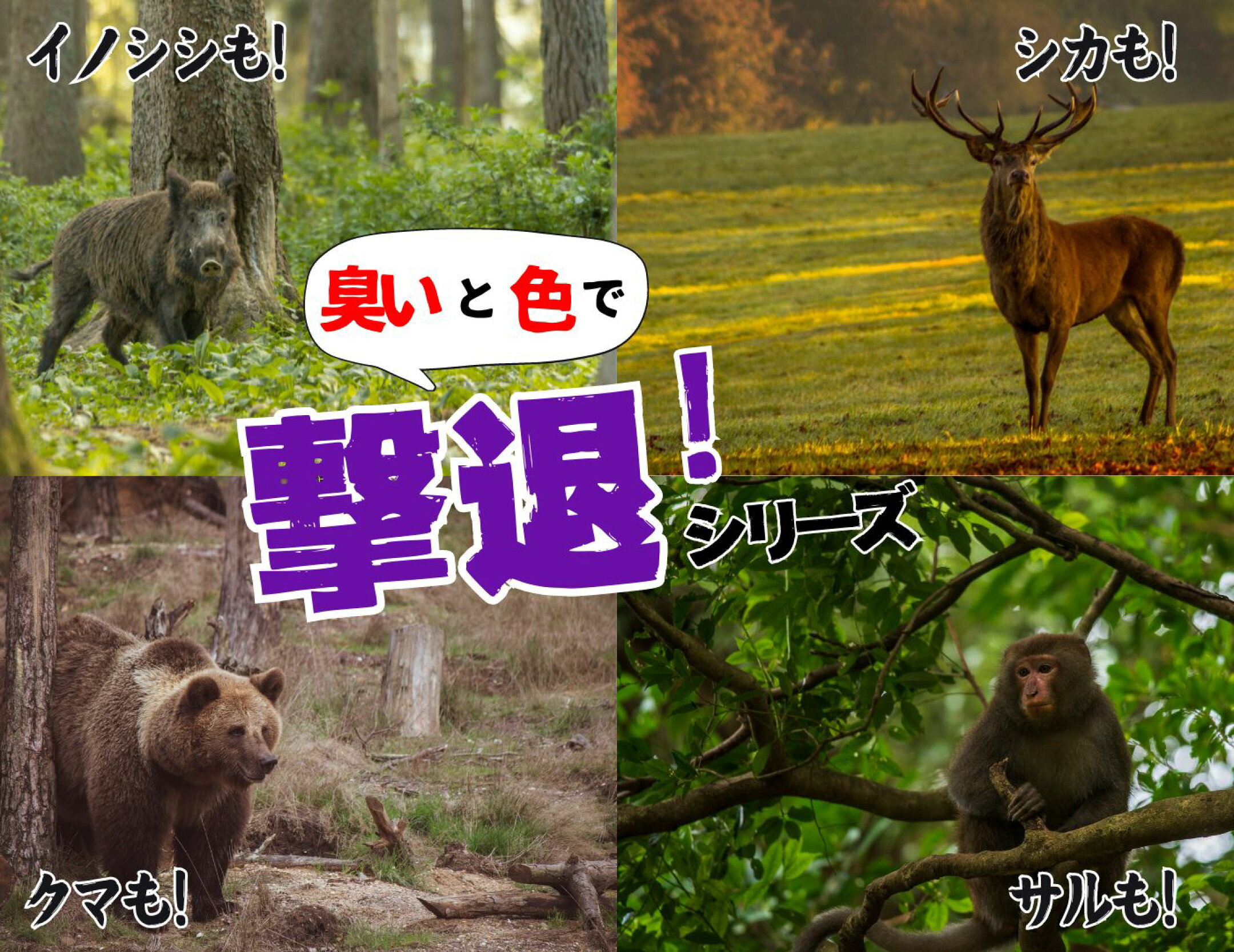 楽天市場 | PoPke - 家庭用品や住設機器を卸している問屋が運営している店舗です！