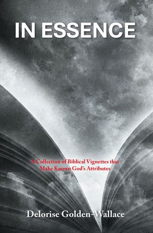 楽天Kobo電子書籍ストア: IN ESSENCE - A Collection of Biblical Vignettes that ...