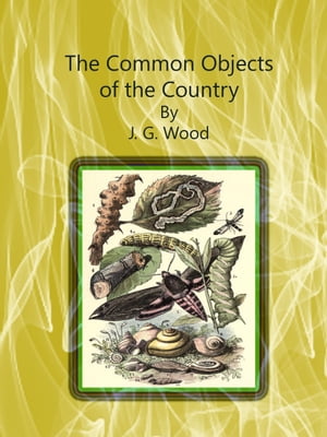 楽天Kobo電子書籍ストア: The Common Objects of the Country - J. G. Wood ...