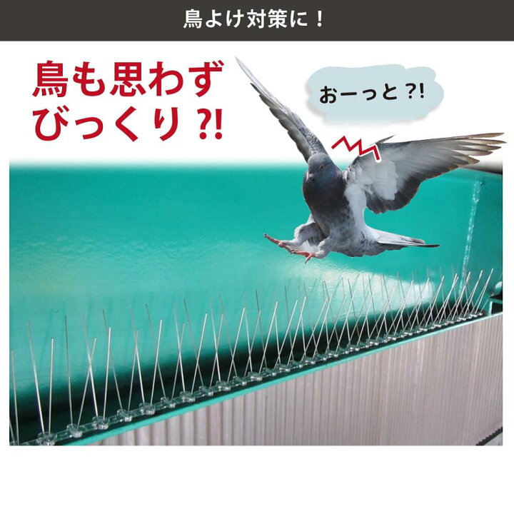 いつでも送料無料 TRUSCO 鳥よけシート ステンレスピン ワイド TBPS-SUS-W-12P 1箱 12本 fucoa.cl