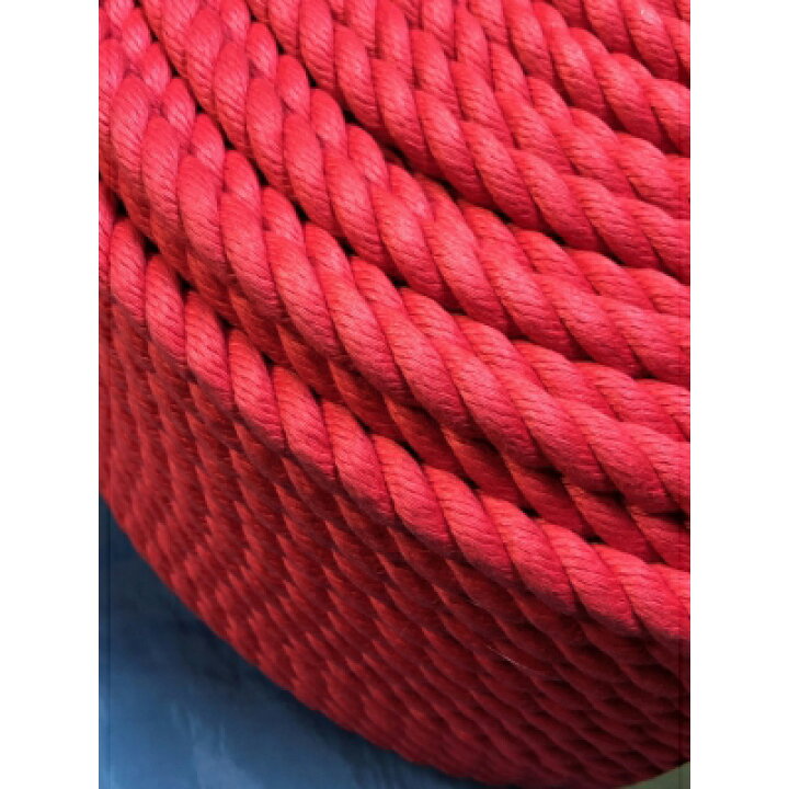 生川 クレモナロープ 金剛打 8mm×200m 作業ロープ 補助ロープ 多目的ロープ 荷造り キャンプ トレーニング 誠実