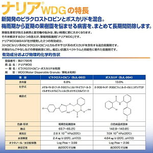 【楽天市場】BASF ナリアWDG 250g 殺菌剤 病害 対策 果樹 茶 茶畑 果実 斑点落葉病 黒斑病 黒星病 輪紋病 褐斑病 防除 農薬：S．S．N