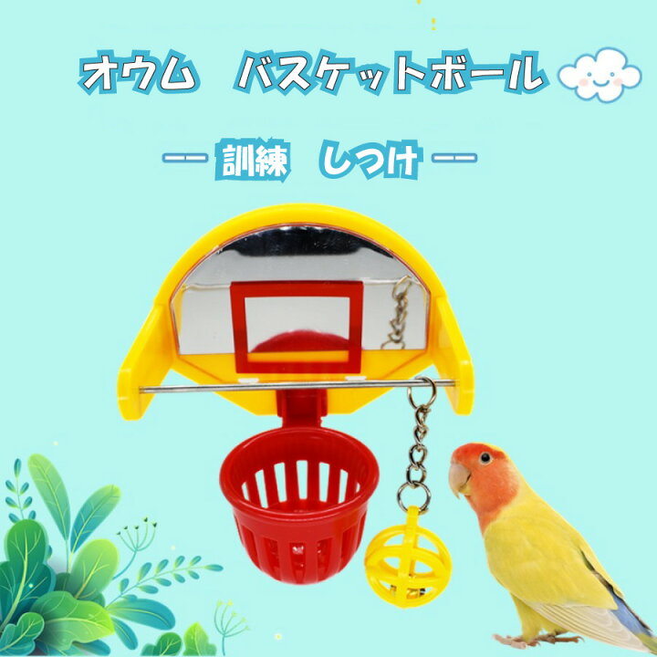 小鳥 インコ オウム 回転 回す 臼 ストレス解消 しつけ 訓練 学習 遊び 運動 送料無料 『4年保証』