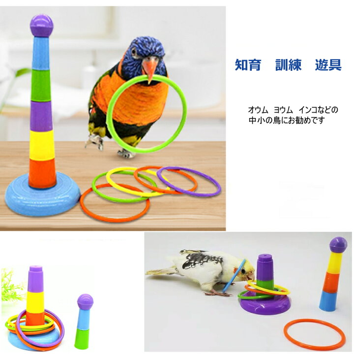 小鳥 インコ オウム 回転 回す 臼 ストレス解消 しつけ 訓練 学習 遊び 運動 送料無料 『4年保証』