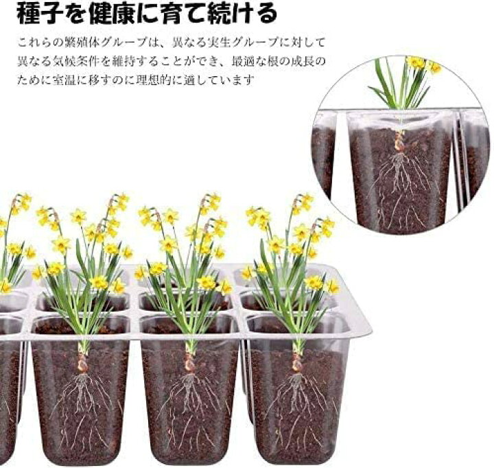 育苗ポット 育苗トレイ 12穴 種子トレイ 種まきハウス 種まき器 透明カバー 育苗ボックス 野菜栽培 苗トレー 発芽 苗箱 多肉植物 園芸