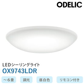 【楽天市場】OX9743LDRSの通販