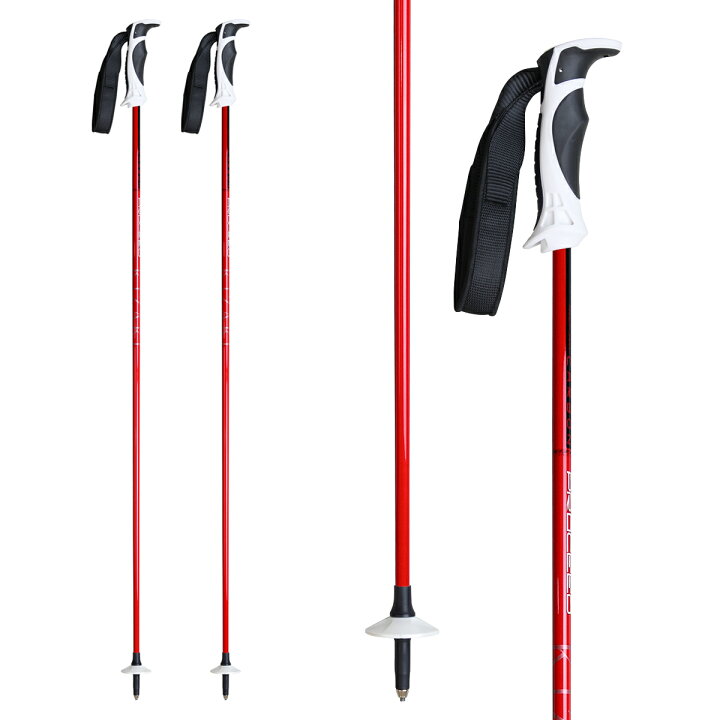 P10倍 〜11 3 17:00まで KIZAKI キザキ スキー ポール ストック 2022 プロシード カーボン PROCEED KPBA-9100 記念日