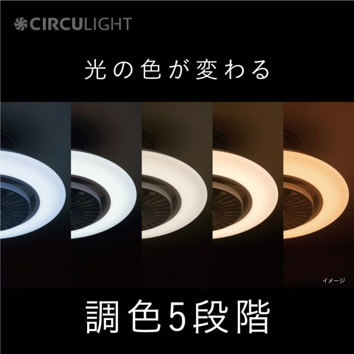サーキュライト DCC-SW08EC ～8畳 EZシリーズ カモメファン LED スイング CIRCULIGHT ドウシシャ R い出のひと時に、とびきりのおしゃれを！