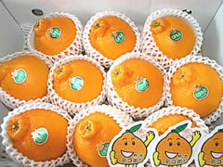 【みかん】デコポン3kg（8玉〜12玉）【送料無料】熊本県産 | アニメイト