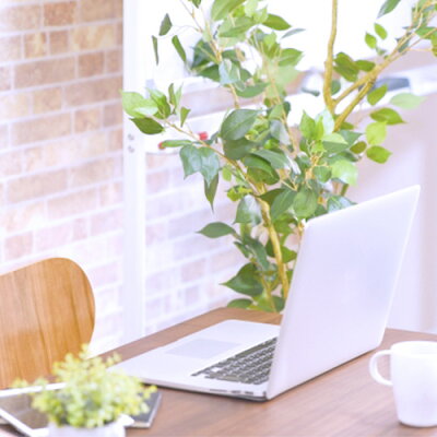 【楽天市場】サーキュレーター 扇風機 20cm DCモーター 360度首振り 360° 静音YAR-CD20(W) DCサーキュレーター エアーサーキュレーター リビングファン リビング扇 ...